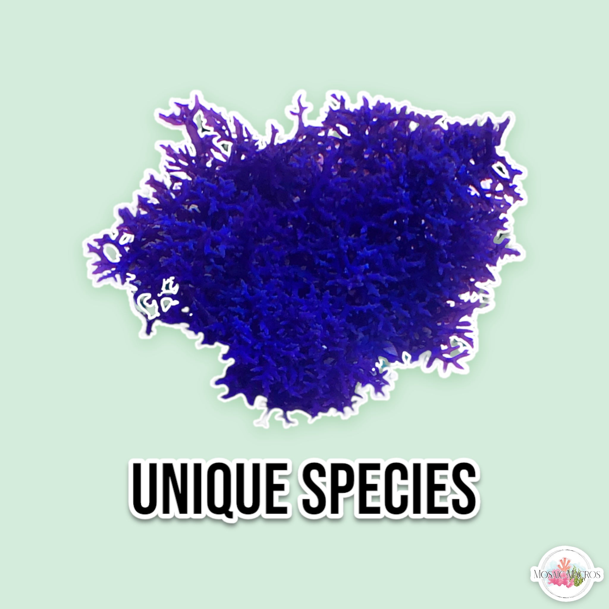 Unique Species – MosaicMacros